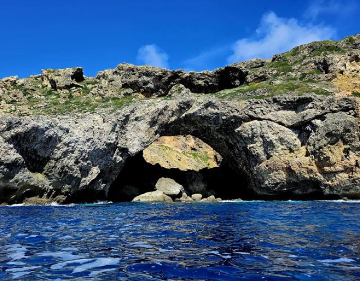 Voyaging Vlad: A Nature Enthusiast’s Journey Through the Mariana Isles ...